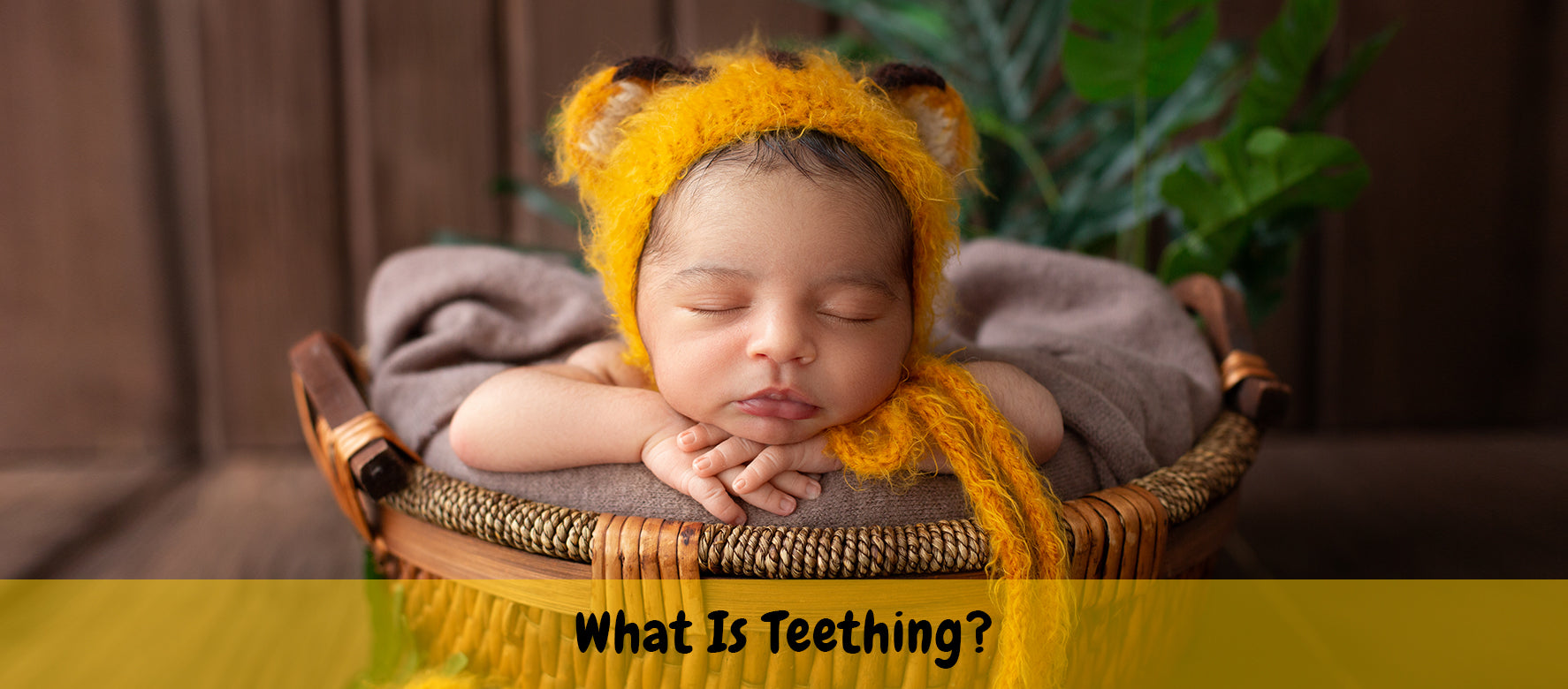 Teething Tips For Babies And Toddlers – Roots Natural